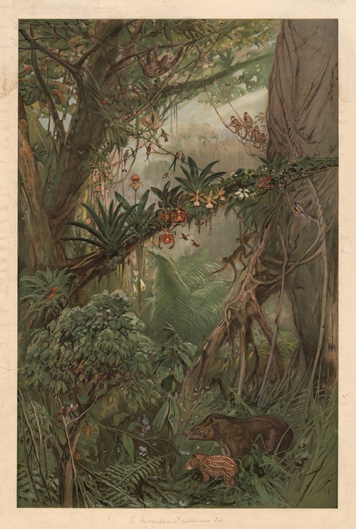 August Specht - Artvee