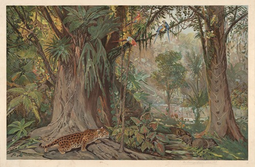 August Specht - Artvee