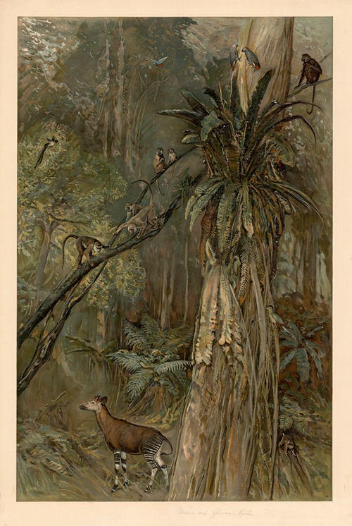 Primeval forest in Madagascar - Artvee