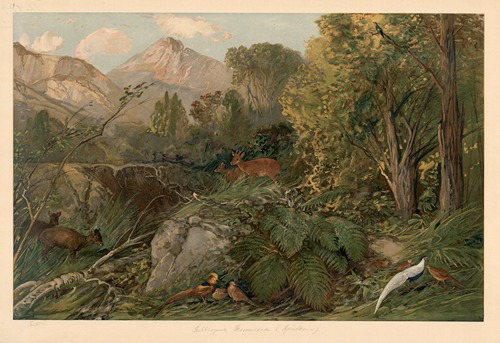 August Specht - Artvee