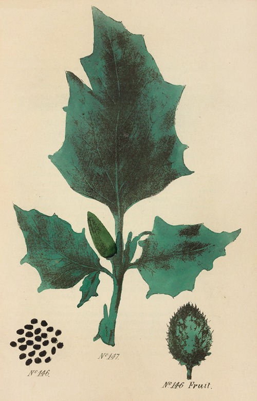 Giorgio Bonelli - Artvee