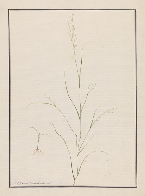 Andrew Fyfe - Artvee