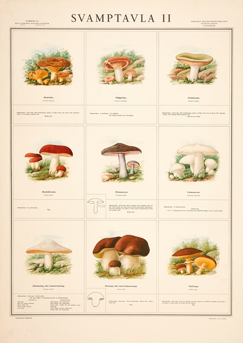 Svamptavla IV - Artvee