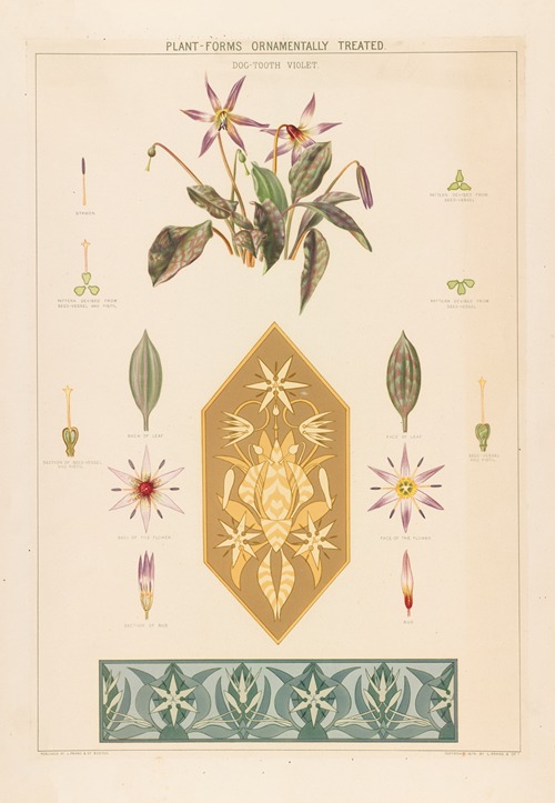 Plant-forms ornamentally treated - Artvee