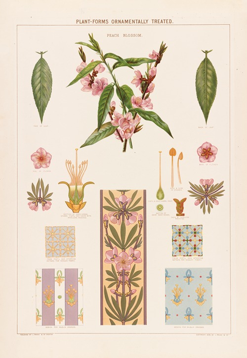 Plant-forms ornamentally treated - Artvee