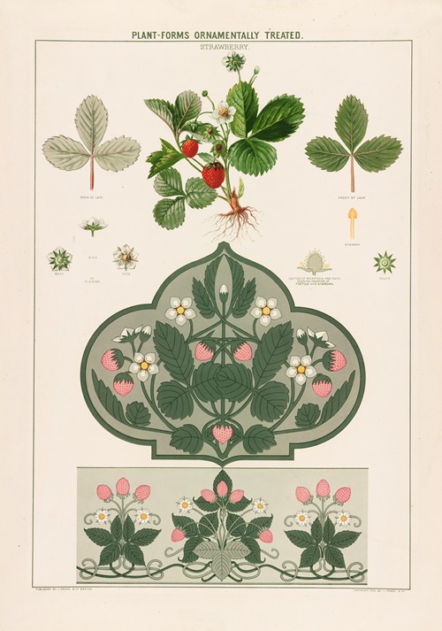 Plant-forms ornamentally treated - Artvee