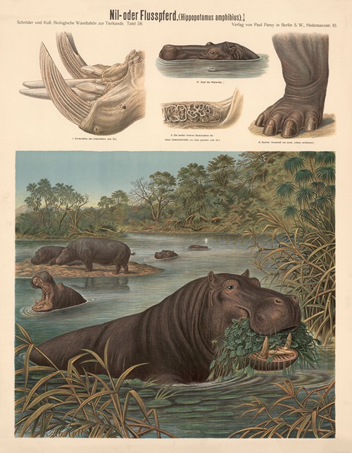 Albert Kull - Artvee