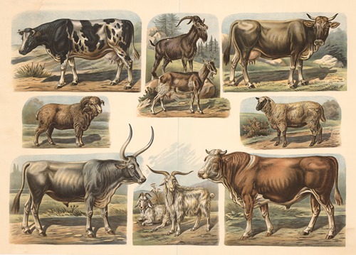 Domestic Animals - Artvee