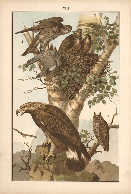 Polar bear, seal, whale, and herring. - Artvee