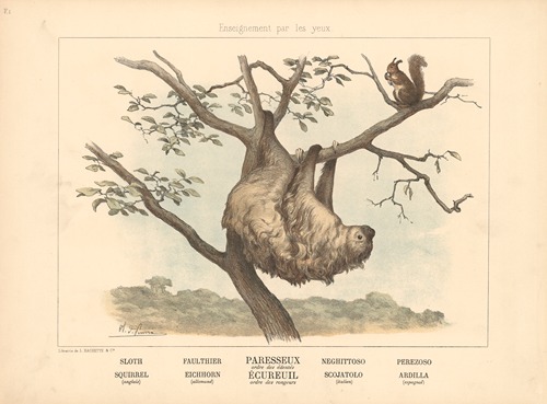 Visual Learning - Zoological Images - Artvee