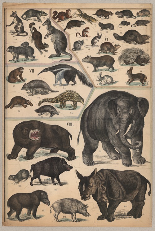 Natural history of Animals - Artvee