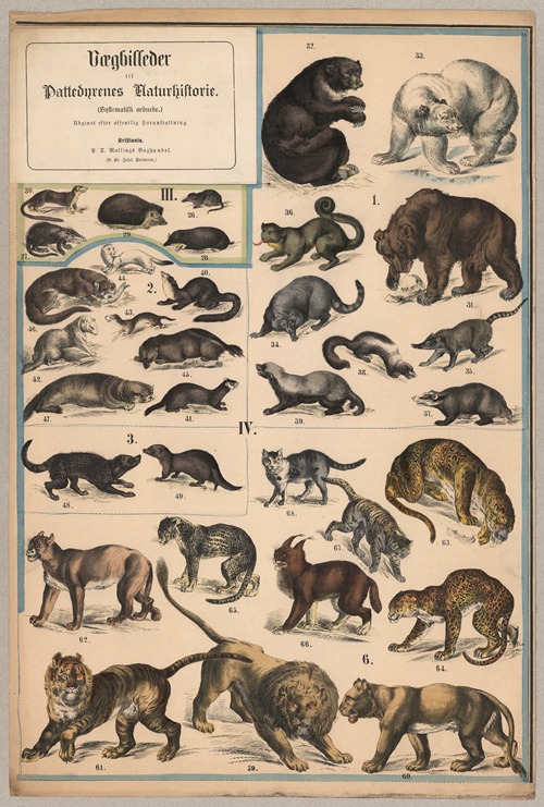 Natural history of Animals - Artvee