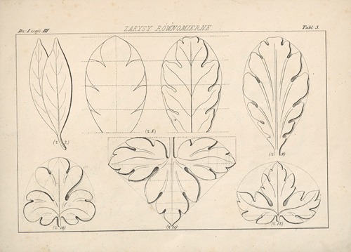 Wzory i nauka rysunku (Patterns and drawing lessons) Vol.1 Pl.08 - Artvee