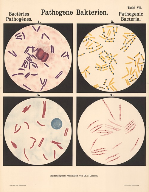 Pathogenic Bacteria - Artvee