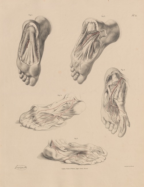 Joseph Maclise - Artvee