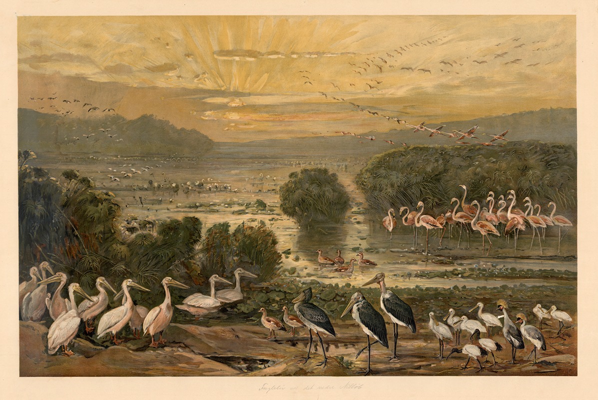 Bird life on the upper Nile - Artvee