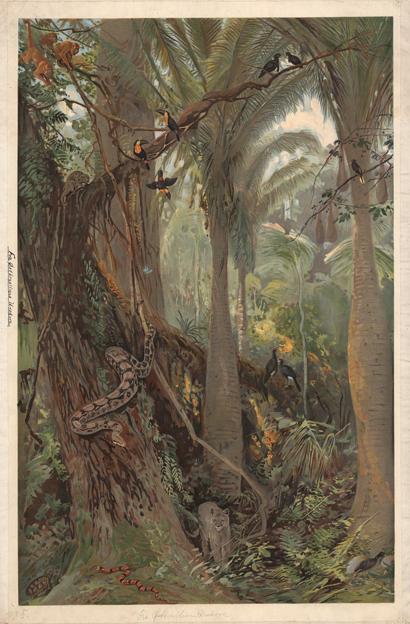 In an eastern Brazilian rainforest - Artvee