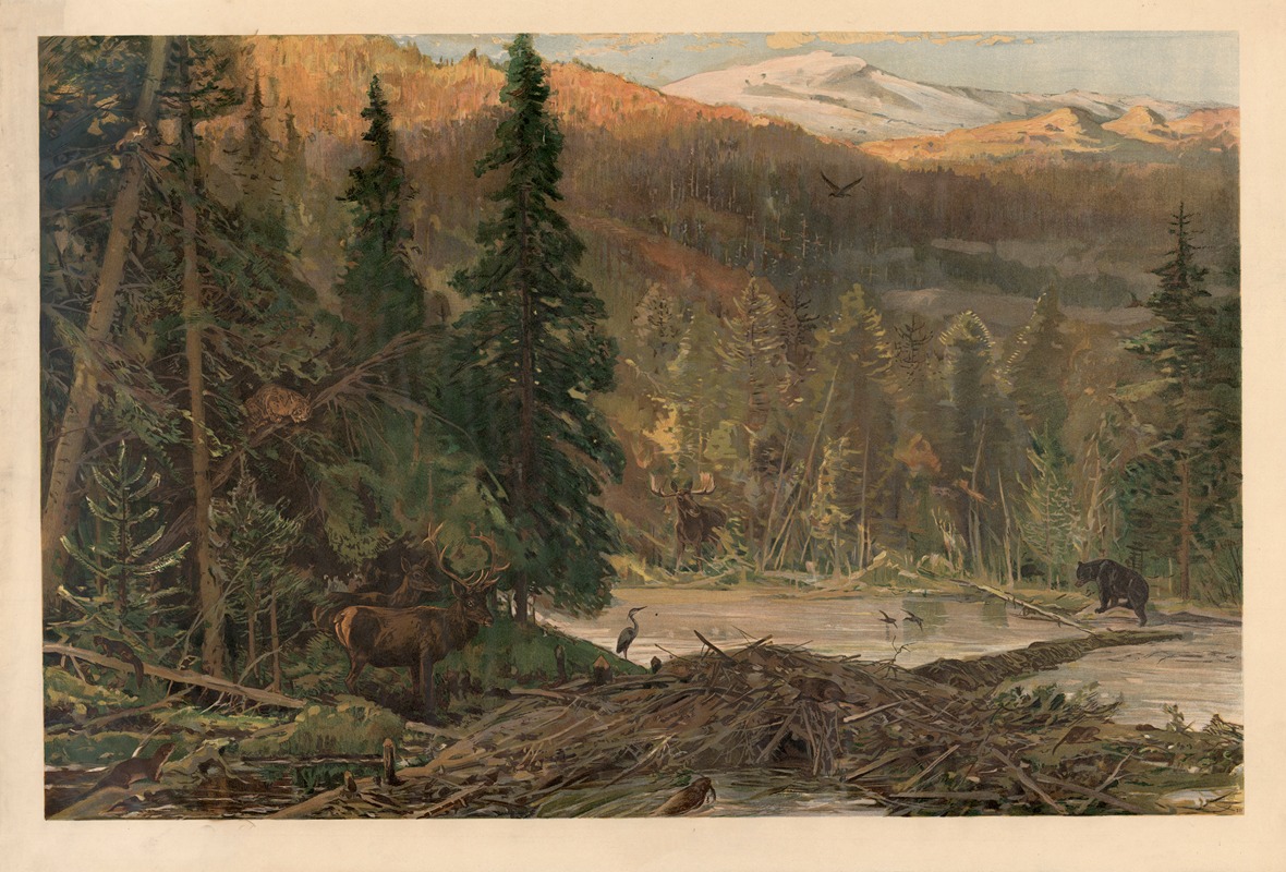 North American coniferous forest - Artvee