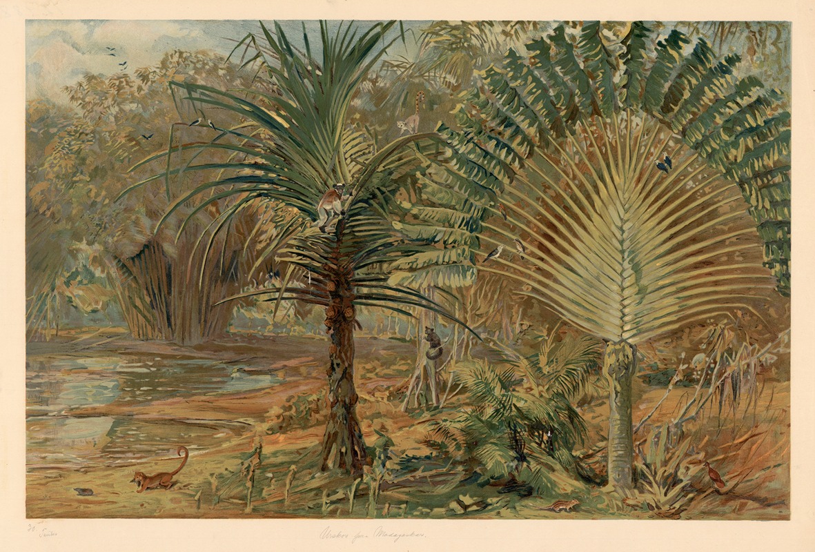 Primeval forest in Madagascar - Artvee