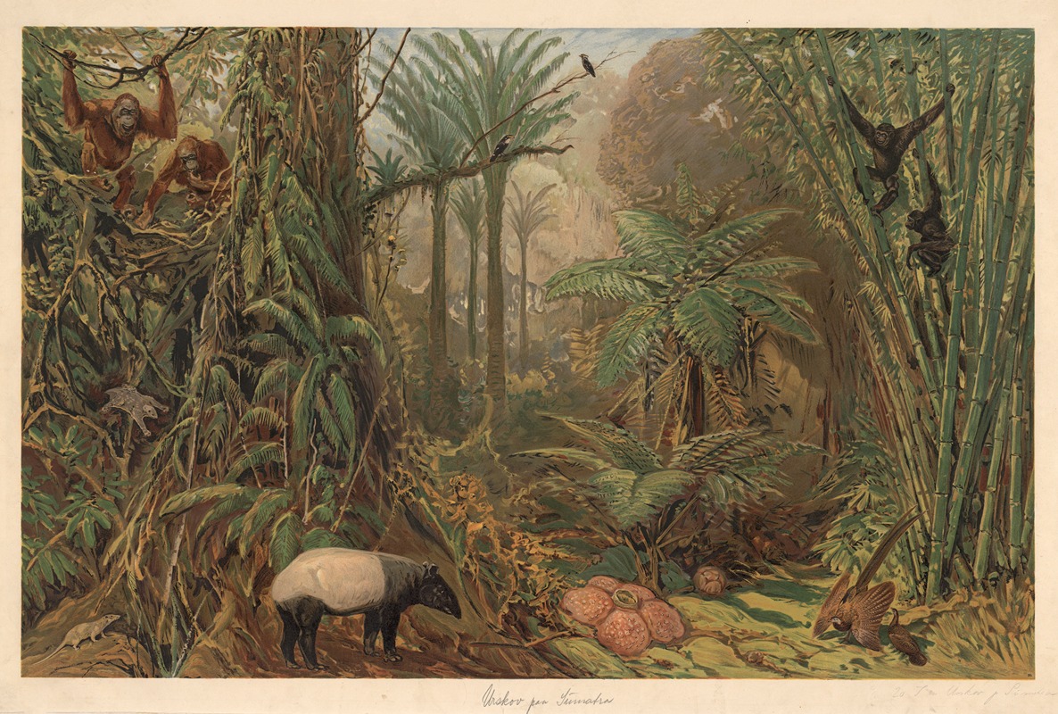 Primeval forest on Sumatra - Artvee