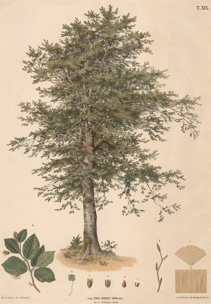 Hugo Darnaut - Artvee