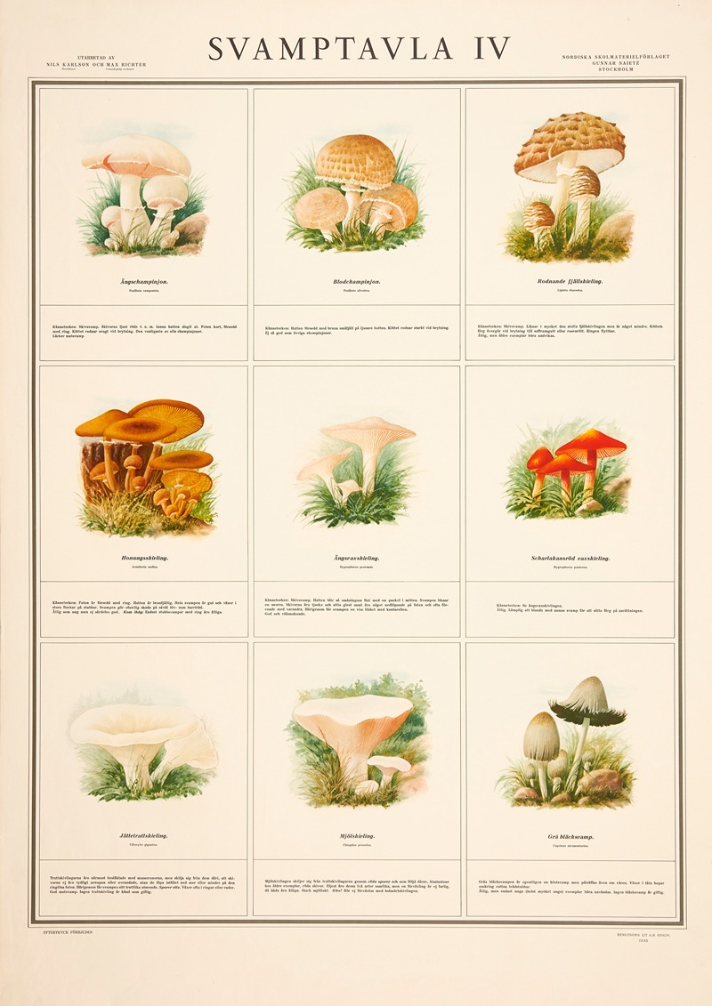 Svamptavla IV - Artvee