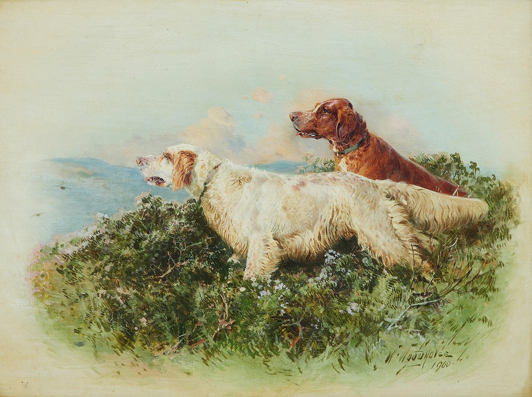 An English and an Irish Red and White Setter on the moors by William ...