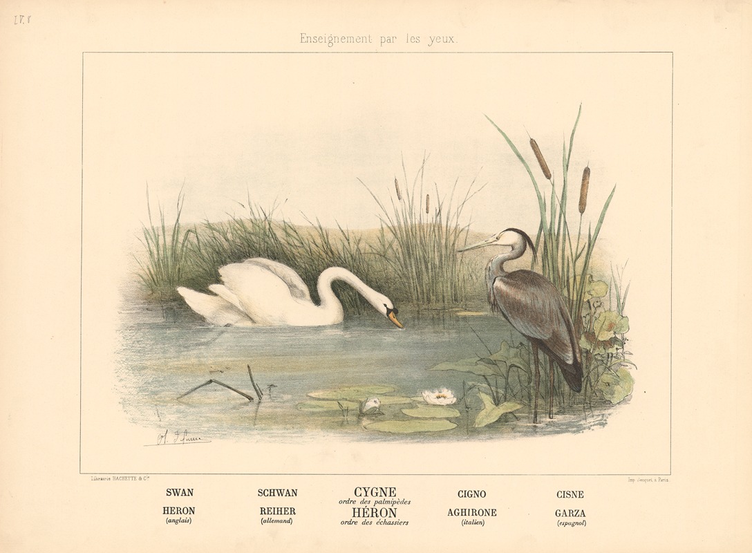 Swan, Heron - Artvee