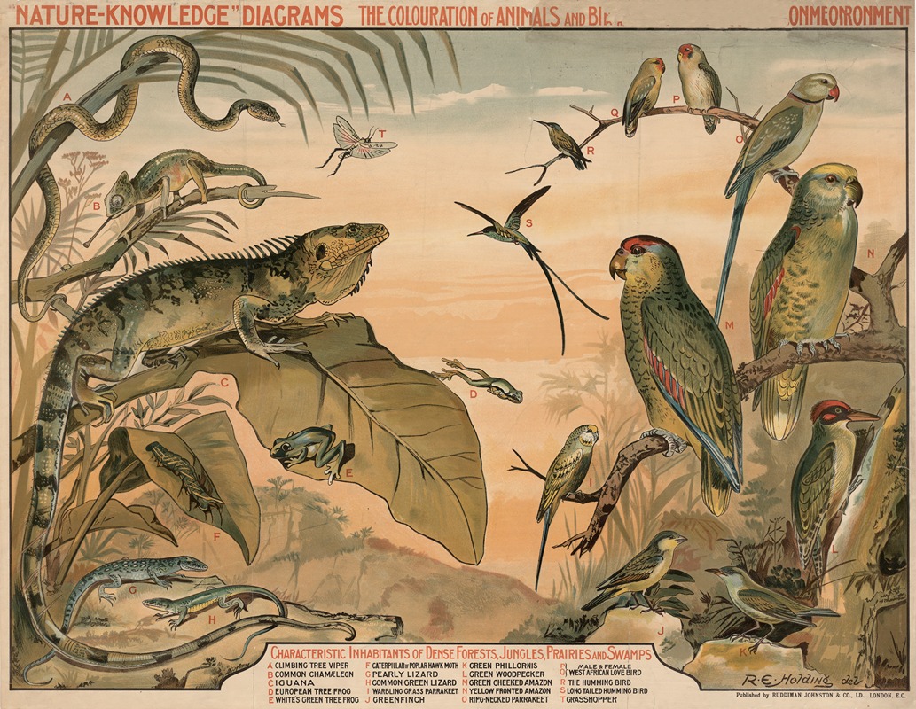 Nature Knowledge Diagrams - Artvee