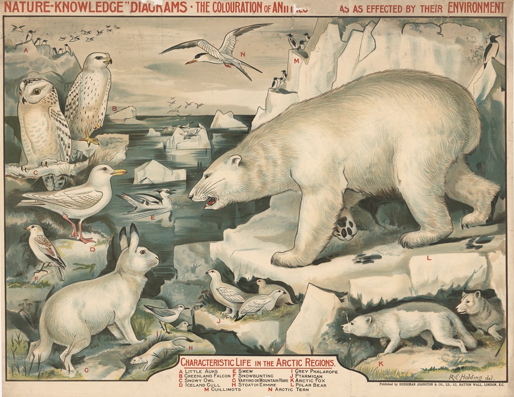 Characteristic Life in the Arctic Regions - Artvee