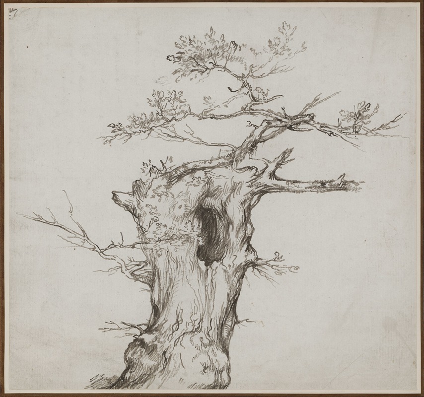 A Blasted Tree - Artvee