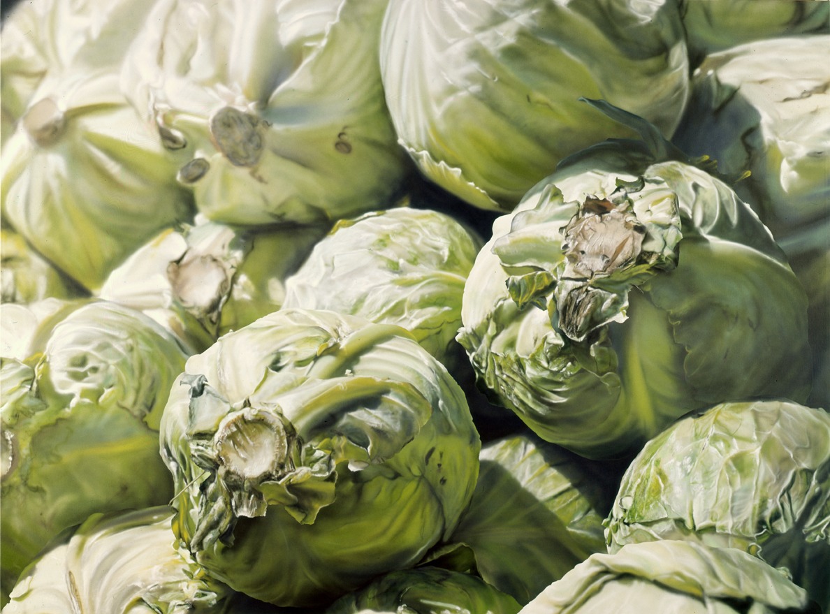 Cabbage by Ben Schonzeit - Artvee