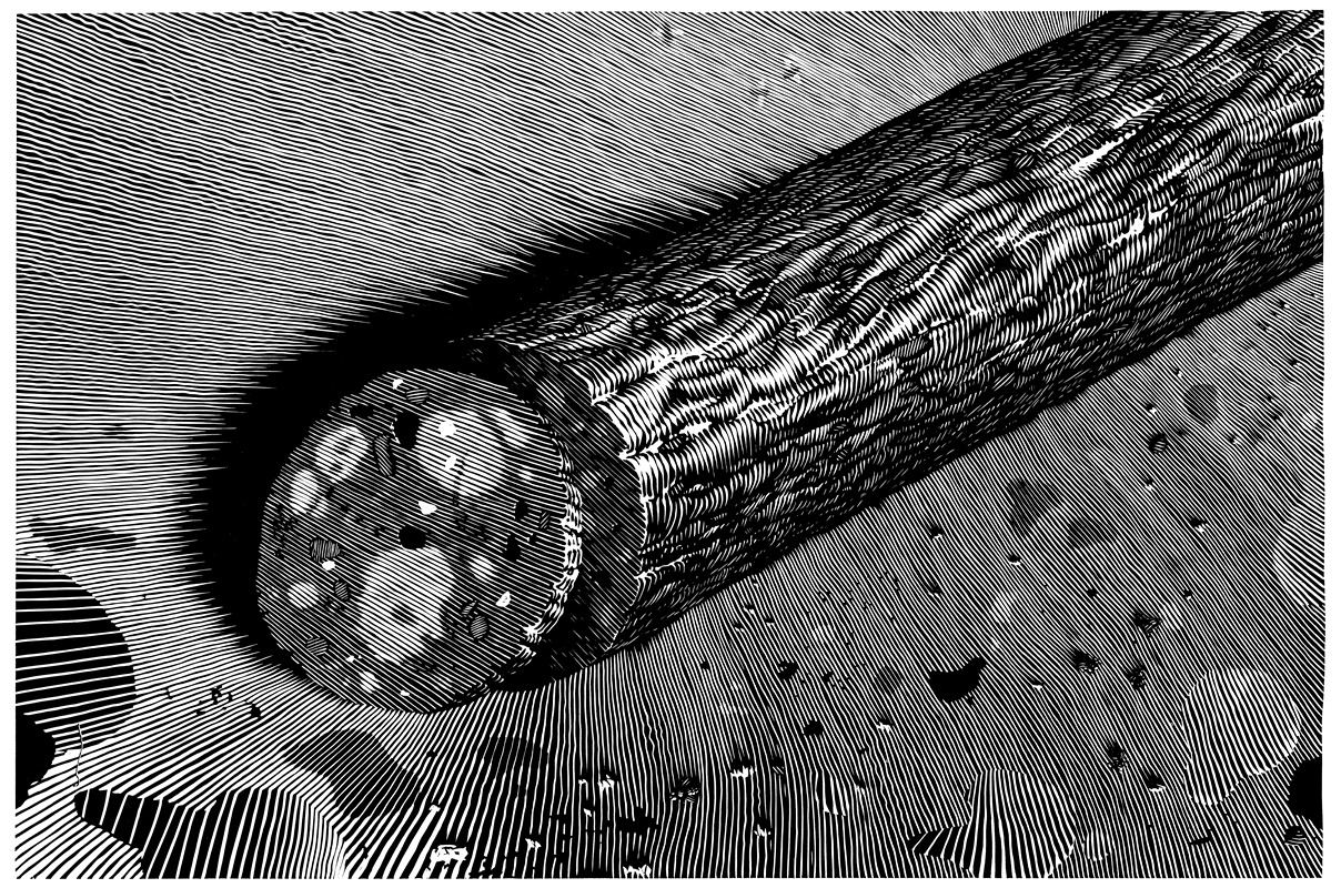 Vorst by Peeter Allik - Artvee