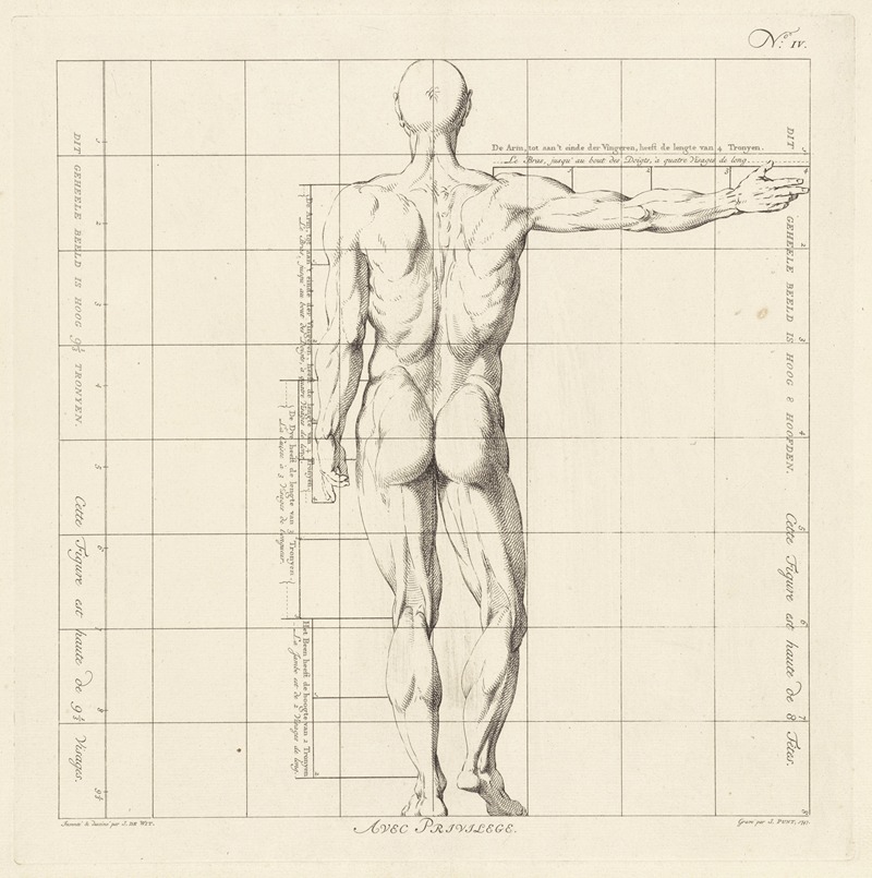Proportional study of a man’s body - Artvee