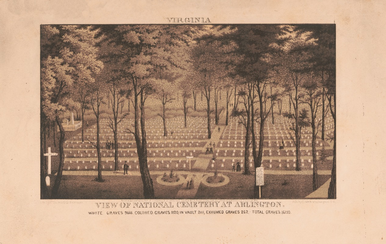 View of National Cemetery at Arlington - Artvee