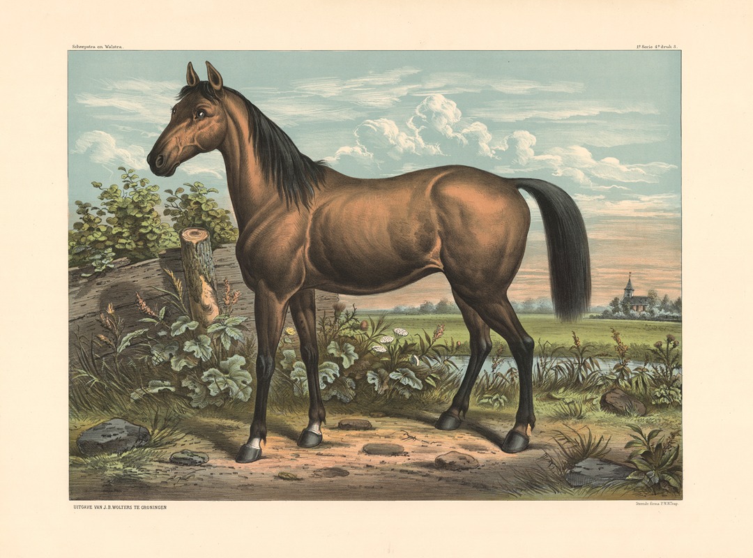 Horse - Artvee