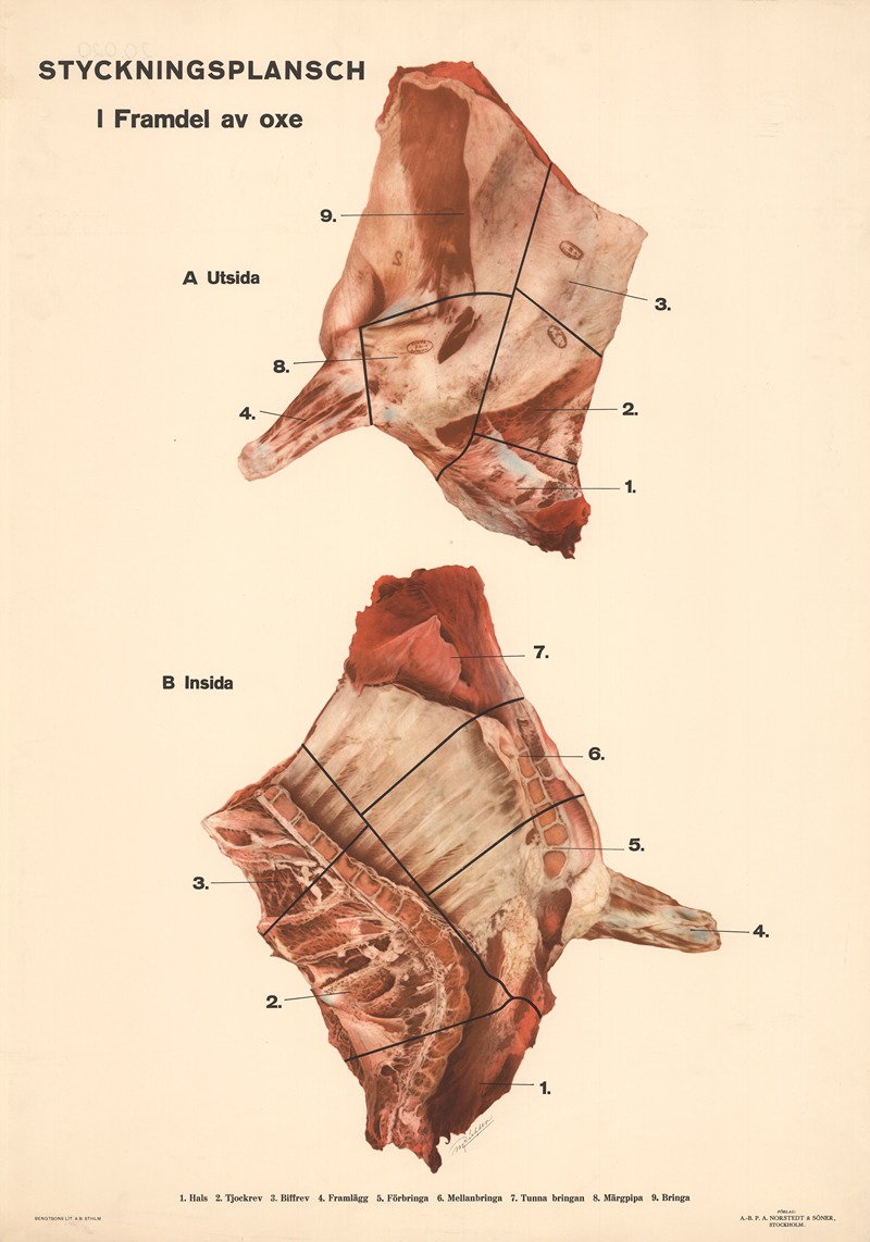 Cutting chart - Artvee